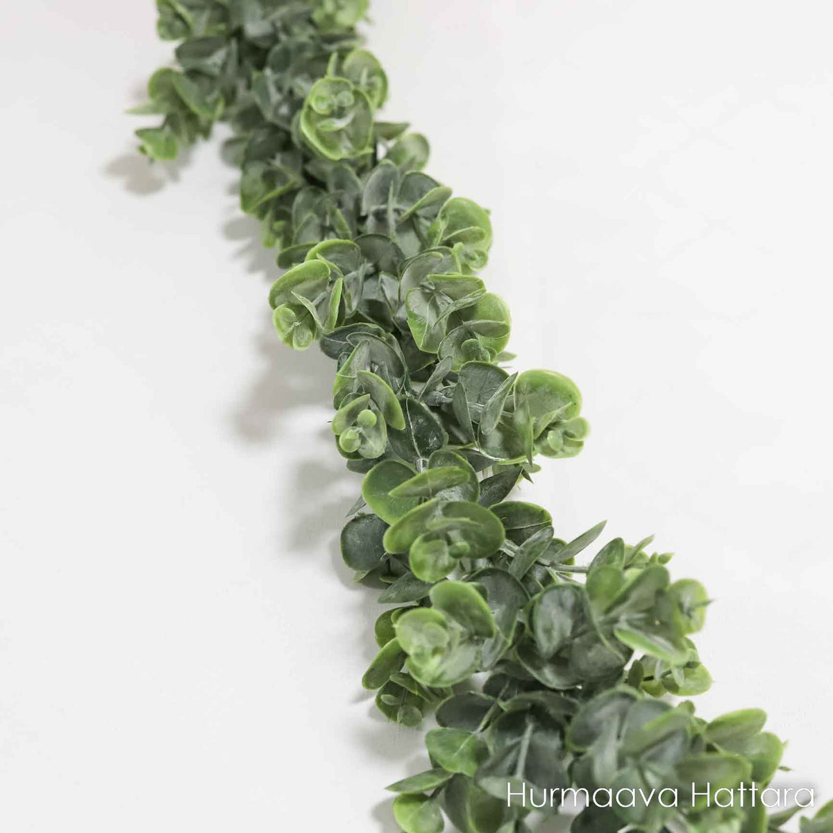 Eukalyptus -köynnös | Juhlakoristeet | Hurmaava Hattara – Hurmaava Hattara – Somistevuokraamo ...